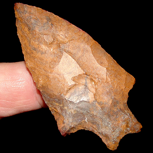 Artifacts Guide- Brown Levy